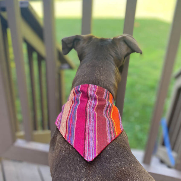 Hand Woven Magenta Red Stripe Dog Bandana Fair Trade Mayamam Weavers